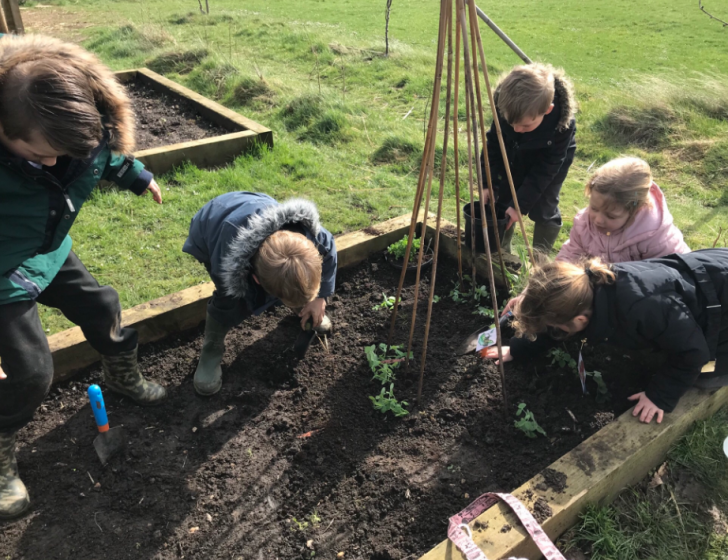 Petworth Primary School - CPRE Sussex