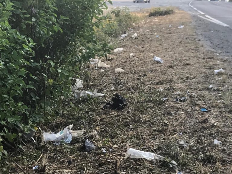 Clear litter before cutting roadside vegetation - CPRE Sussex