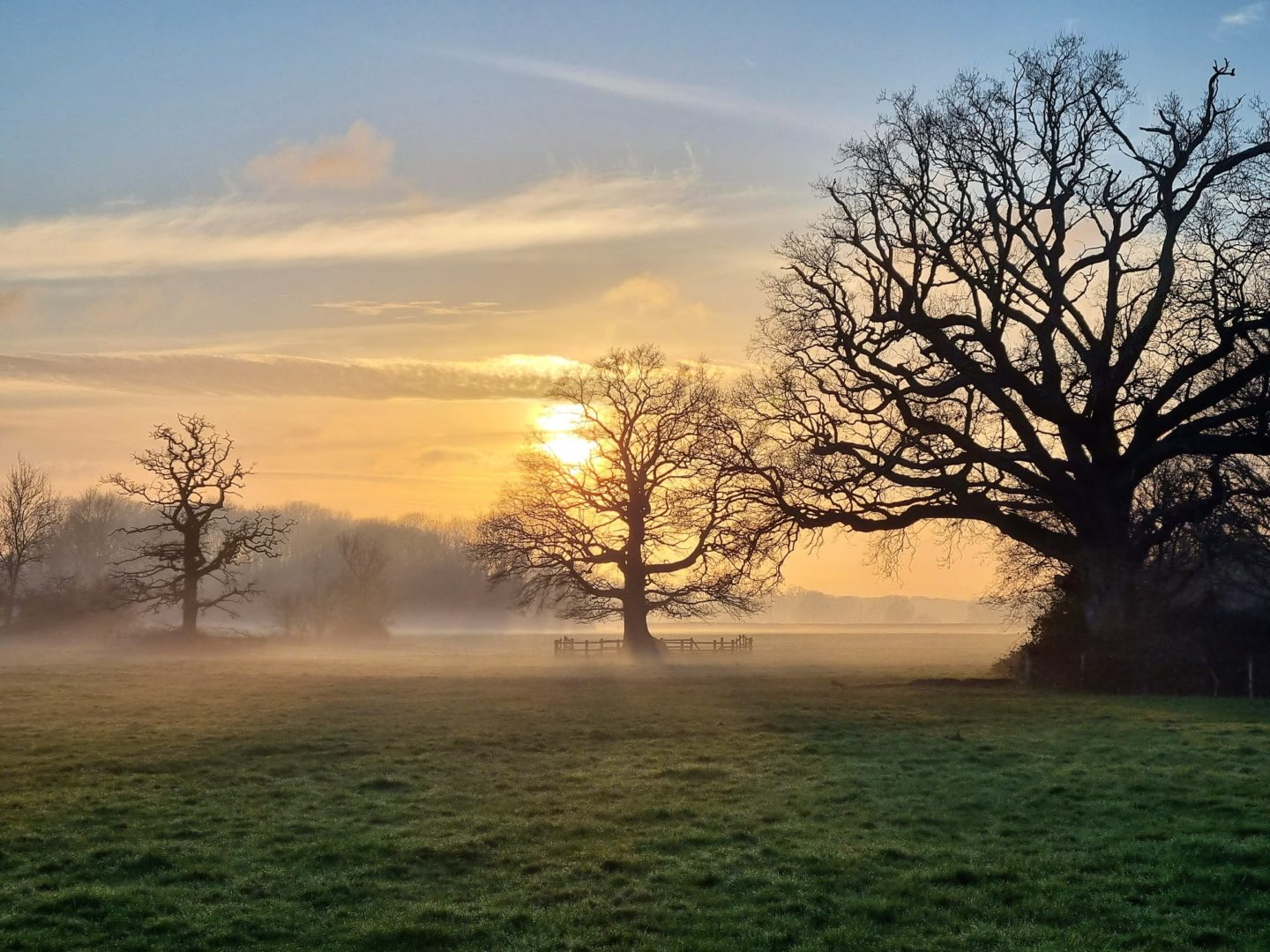 Join campaign to save over 1400 acres of Low Weald landscape and ...