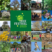 Tree Festival 2025 - Events enjoyed - CPRE Sussex