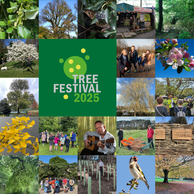 Tree Festival 2025 - Events enjoyed - CPRE Sussex