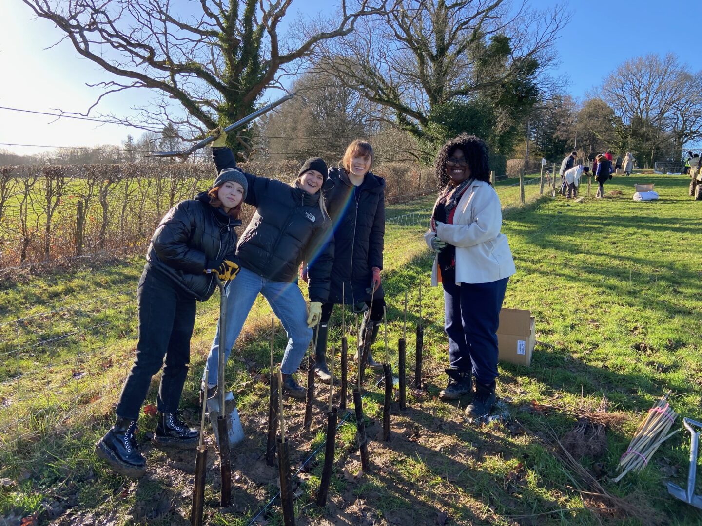 CPRE Sussex announces new Hedgerow Heroes project - CPRE Sussex