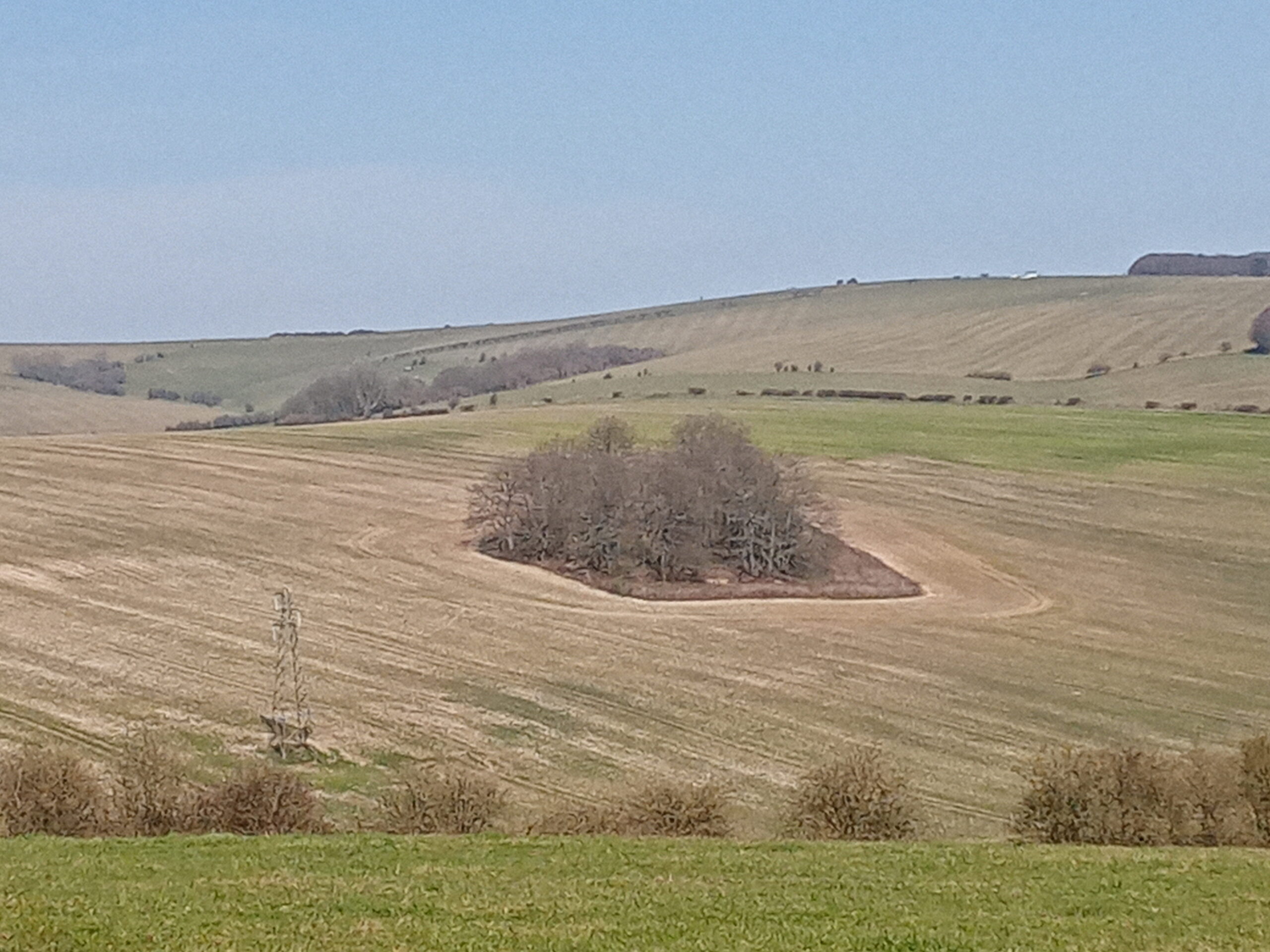 26 April, 10.30am: University of Sussex Boundary Walk - CPRE Sussex
